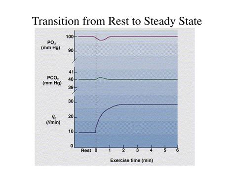Ppt Ventilationperfusion Ratios In The Lung Powerpoint Presentation
