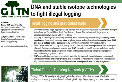 Illegal Logging Poster