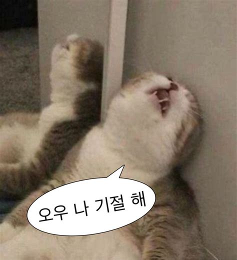 말풍선 짤에 있는 핀