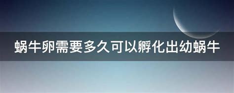 蜗牛卵需要多久可以孵化出幼蜗牛 业百科