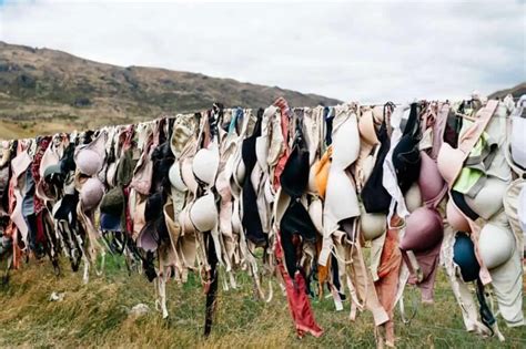 The 4 Best Bras To Hide Underarm And Back Fat The Bulge
