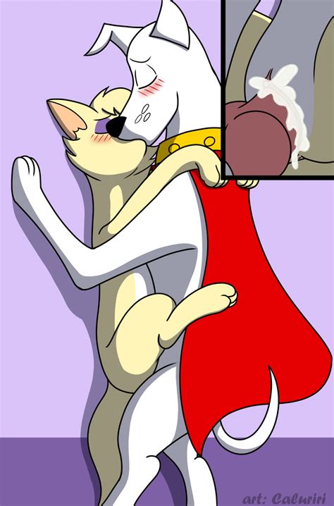 Rule 34 Against Surface Against Wall Animal Genitalia Animal Penis