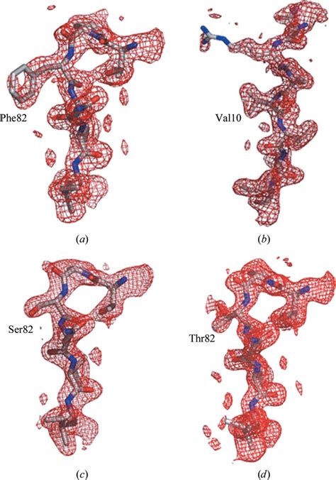 Electron Density Maps Shown In Red Are The 2f O À F C Download Scientific Diagram