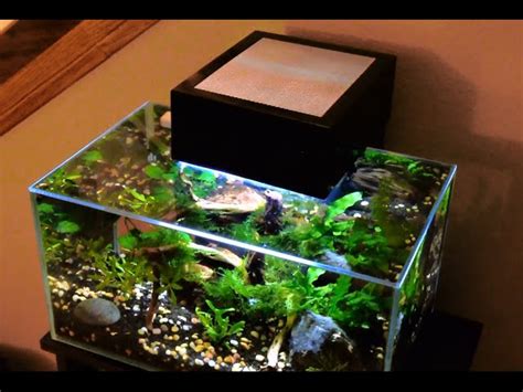 Fluval Edge Shrimp Tanks 12 Gallon Fluval Edge Nano Reef Nano Reef
