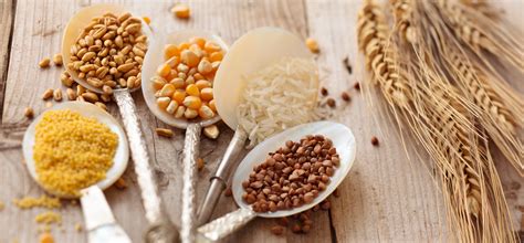 Digestion Resistant Maltodextrin The Facts Primaforce Supplements