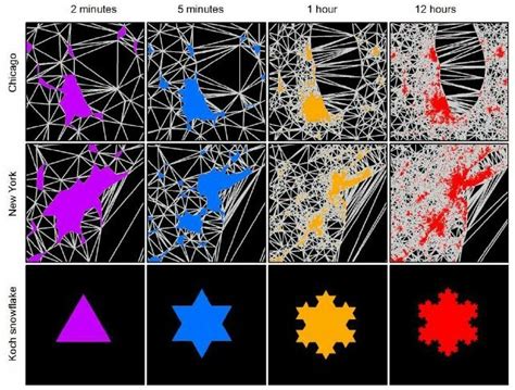 Color Online The Evolution Of The Natural Cities On The Background Of Download Scientific