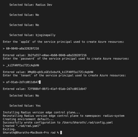 `rad Init` Has Some Oddities With Prompts · Issue 4796 · Radius