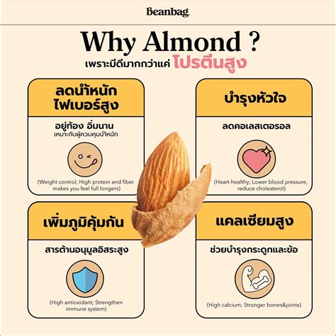 Payday Naked Almond Protein 800g LINE SHOPPING