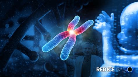 Smart And Sexy Biological Differences Between Men And Women