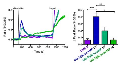 Stimulation Of The Of Jurkat T Cells With Ob Cnmps 10 12 And 13
