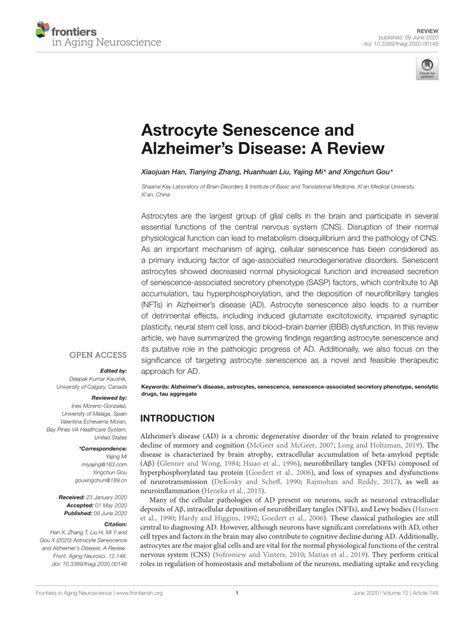 Pdf Astrocyte Senescence And Alzheimers Disease A Review