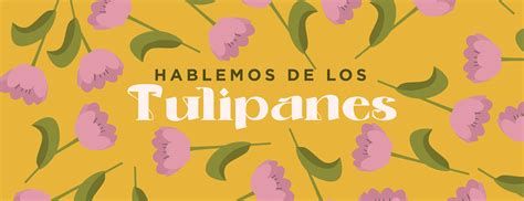 Todo Lo Que Debes Saber Acerca De Los Tulipanes