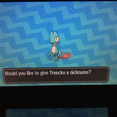 Masuda Method Sunmoon Shiny Treecko 10 Eggs Shiny Pokemon Amino Amino