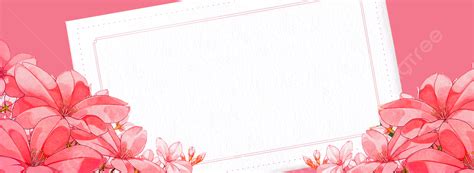 컬러 크리 에이 티브 식물의 꽃 장식 배경 색상 크리에이티브 식물 자연 환경 질감 종이 기울기 국경 색상 크리에이티브 식물 배경 일러스트 및 사진 무료 다운로드