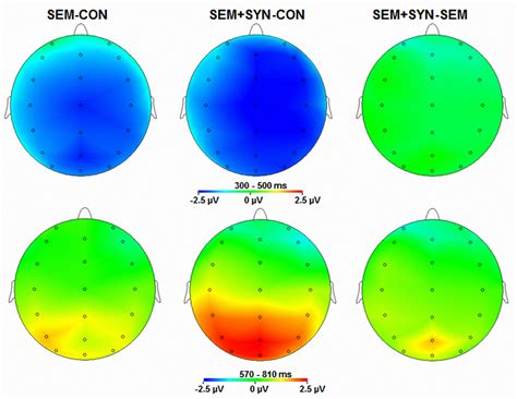 Topographic Distributions Of The Mean Erp Differences From 300 To 500 Download Scientific