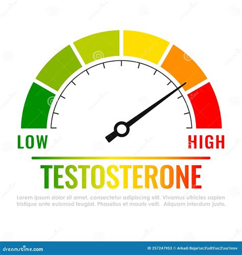 Testosterone Level Metering Scale Stock Vector Illustration Of Graph Background 257247953