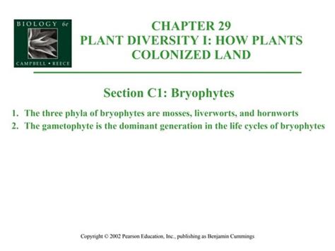 22 2 Bryophytes Ppt