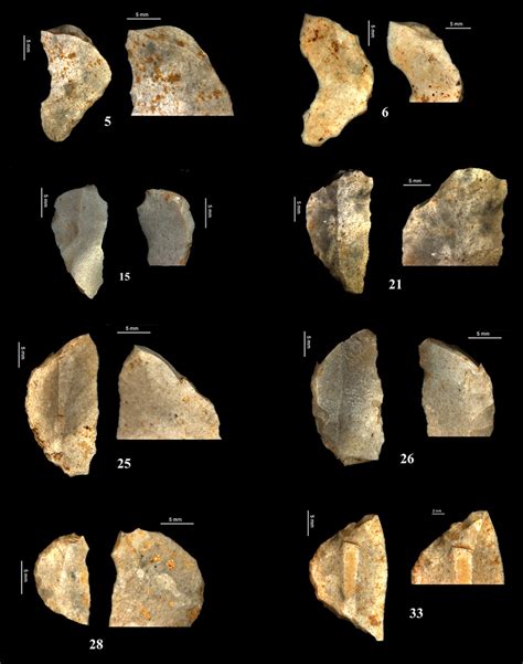 Microlitos Geométricos De El Llano Del Montico Con Fracturas De Impacto
