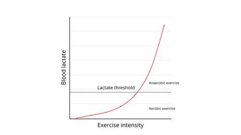 What Is The Lactate Threshold Koalathlete Ocr Trail Running