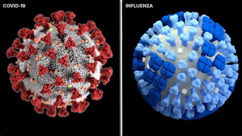 An Introduction To Viruses News Sports Jobs Adirondack Daily
