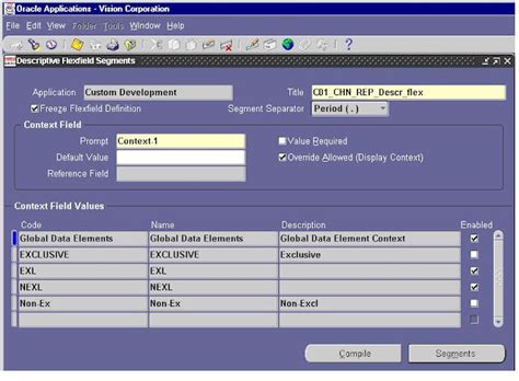 Rafiuddin Oracle EBS Techo Functional Descriptive Flex Fields In