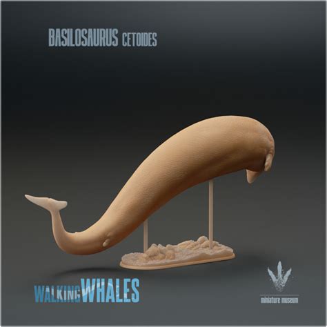 3d Printable Basilosaurus Cetoides The King Lizard By Miniature Museum