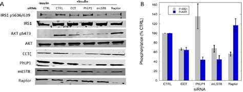 Figure 45 From Structural Analysis Of Cell Signaling Complexes Semantic Scholar