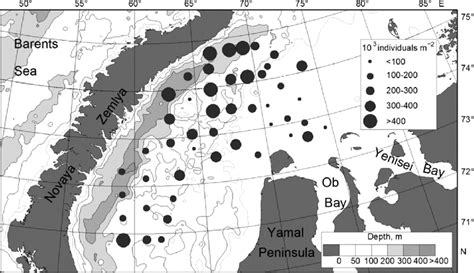 Distribution Of Zooplankton Abundance Including Copepod Nauplii 10 3