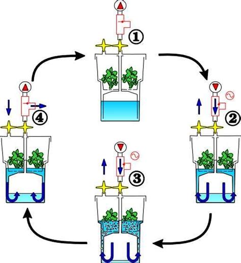3 Ways To Build A Homemade Hydroponics System Artofit