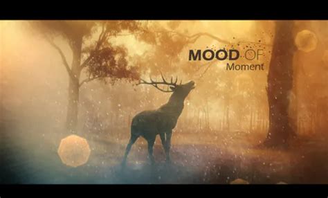 30 Best After Effects Parallax Photo Effects And Parallax Animation