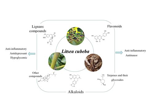 Acg Publications Research Progress On Chemical Constituents And Biological Activities Of