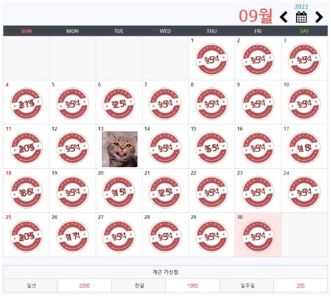 메롱이군요 ㅎㅎ 뉴스포티지동호회 스포넷