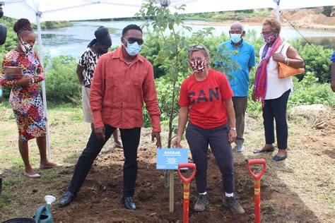 The National Tree Planting Project Haigh Communications Inc