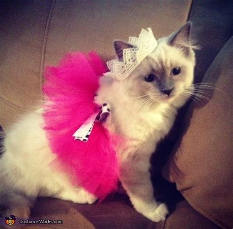 Purr Incess Costume