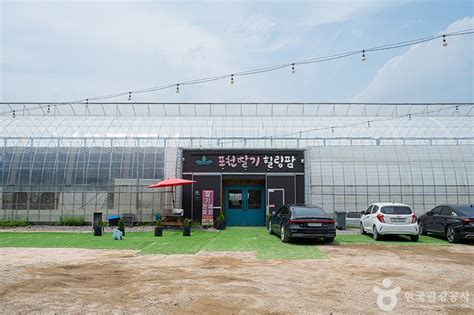 사과깡패 경기도 포천시 가볼만한곳 관광지랭킹