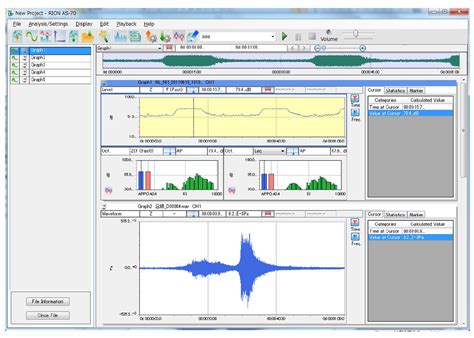Rion As 70 Waveform Analysis Software Instrumart