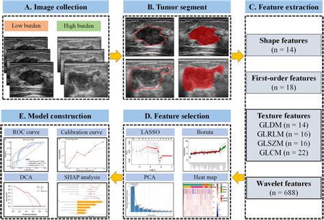 Utilizing Multiclassifier Radiomics Analysis Of Ultrasound To Predict High Axillary Lymph Node