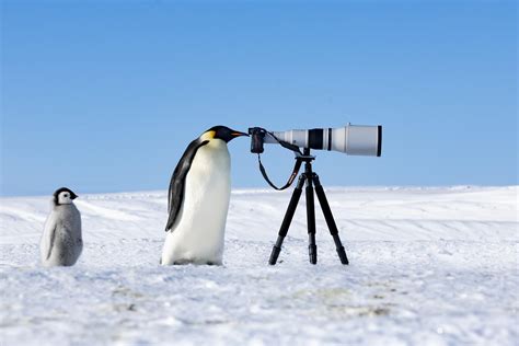 Photography Contest Winners 2024 · The Nature Photography Contest