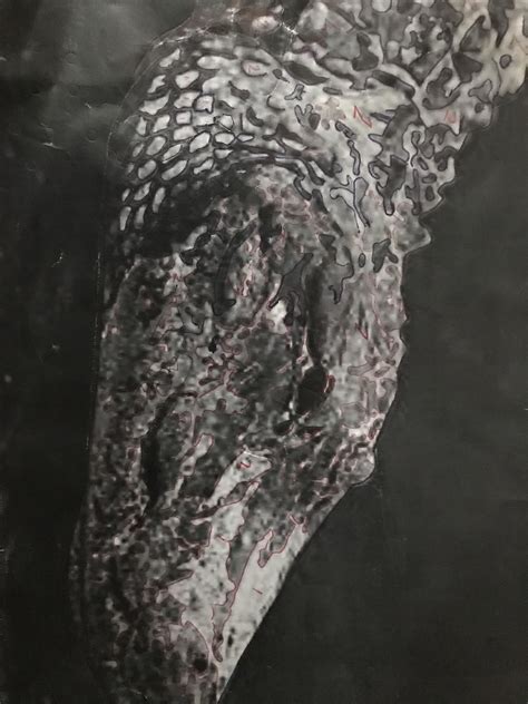 My Teacher Said That He Would Give Me A C For This But Gave Me The Opportunity To Take It Home