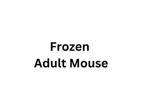 Frozen Adult Mouse