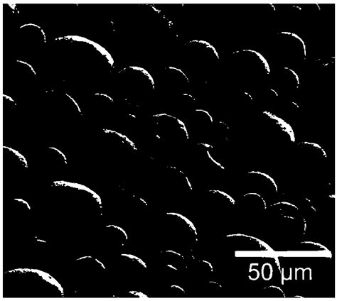 Self Repairing Microencapsulated Lithium Ion Battery Electrode Material And Preparation Method
