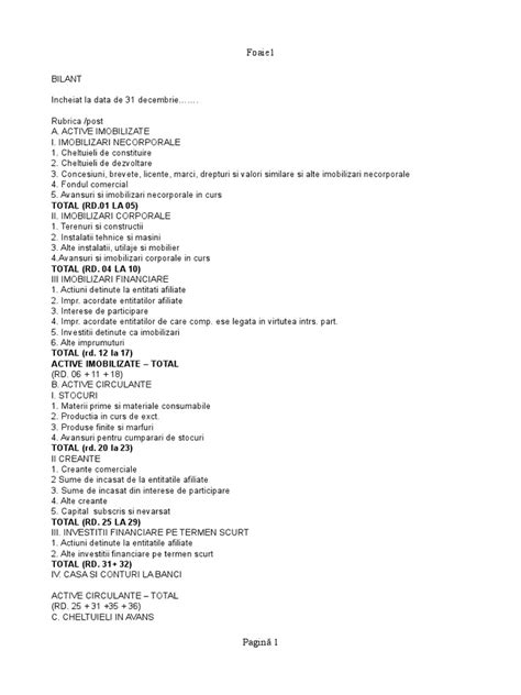 Bilant Model Excel