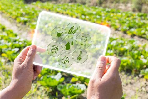 Agriculture Technology Farmer Woman Analysis Data Vegetable Plant Seedlings In Cultivated