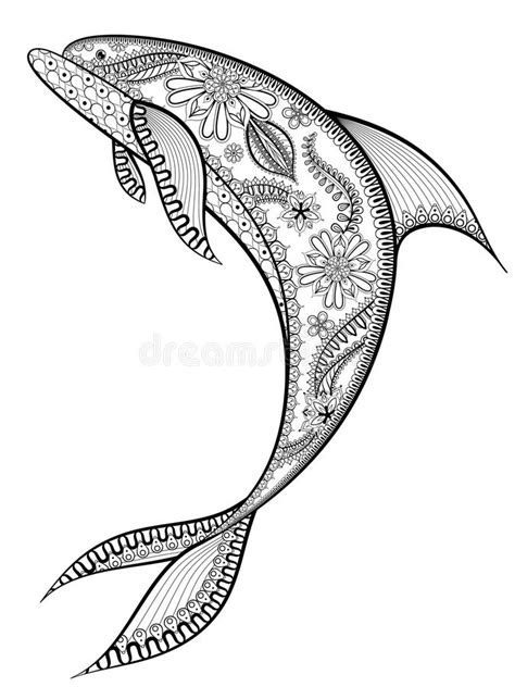 Delphin Vektorzeichnung Vektor Abbildung Illustration Von Zeichnung