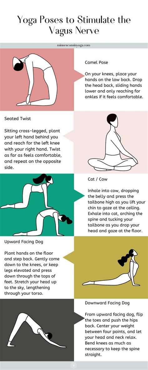 Yoga Poses To Stimulate The Vagus Nerve Nerve Health Body Health Yoga