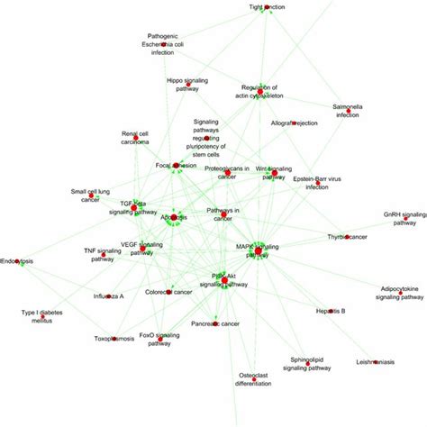 hierarchical clustered heatmap analysis of all the differentially