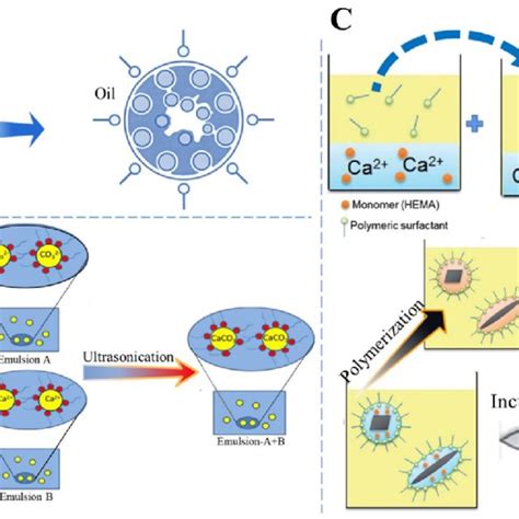 Pdf Calcium Carbonate Controlled Synthesis Surface
