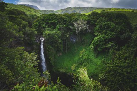 17 Best Hikes In Hawaii You Have To Try In Your Life The Planet D