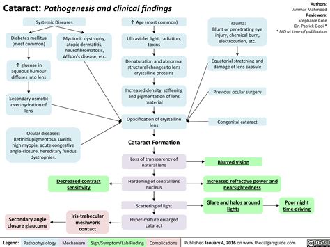 Cataract Pathogenesis And Clinical Findings Calgary Guide