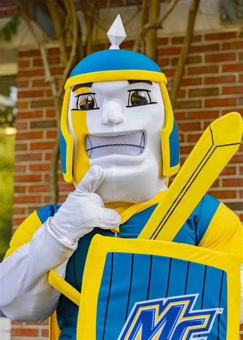 Merrimack College Mascot Together We Rise The Campaign For Merrimack